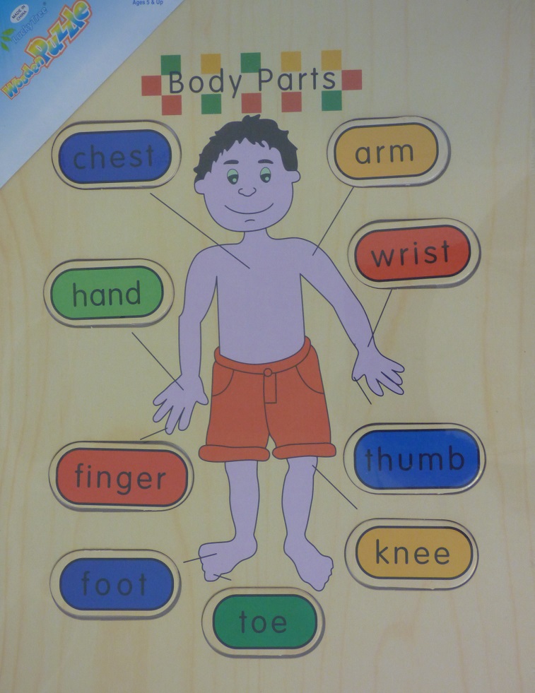 Educational and Learning : Wooden Puzzle - Body Parts